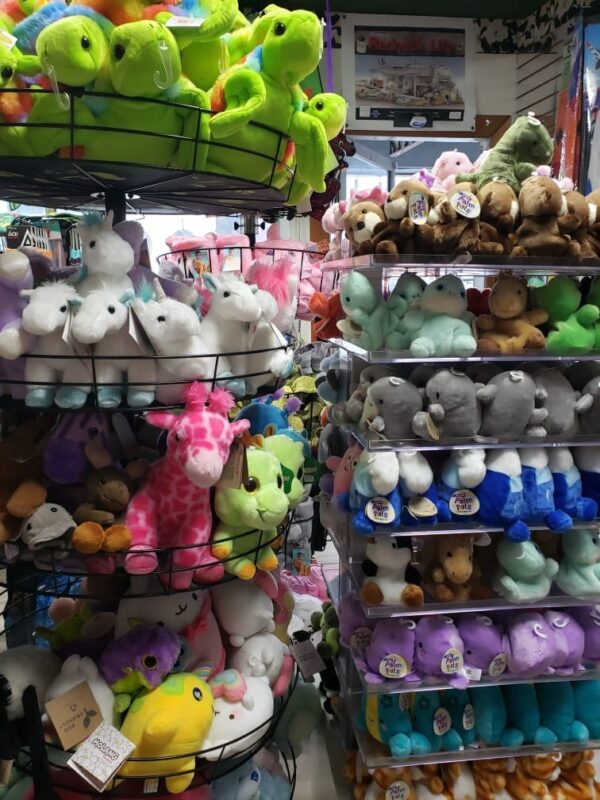 The Sea Gulp - Lincoln City